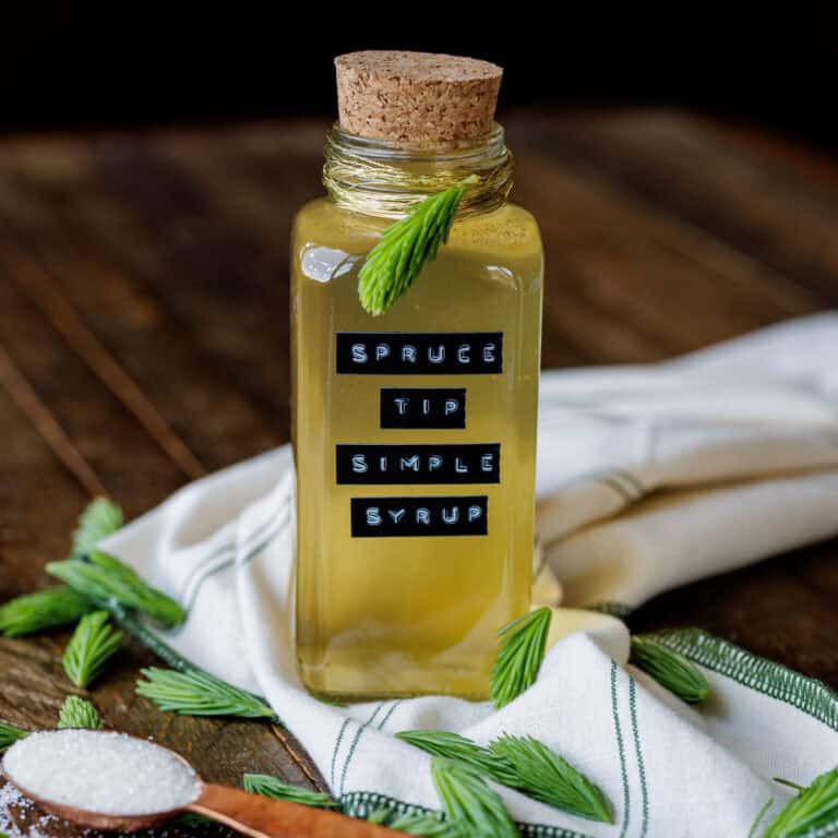 Spruce Tip Syrup | Peak to Plate