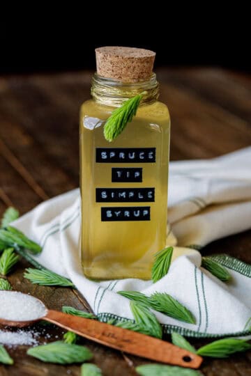 Spruce Tip Syrup | Peak to Plate