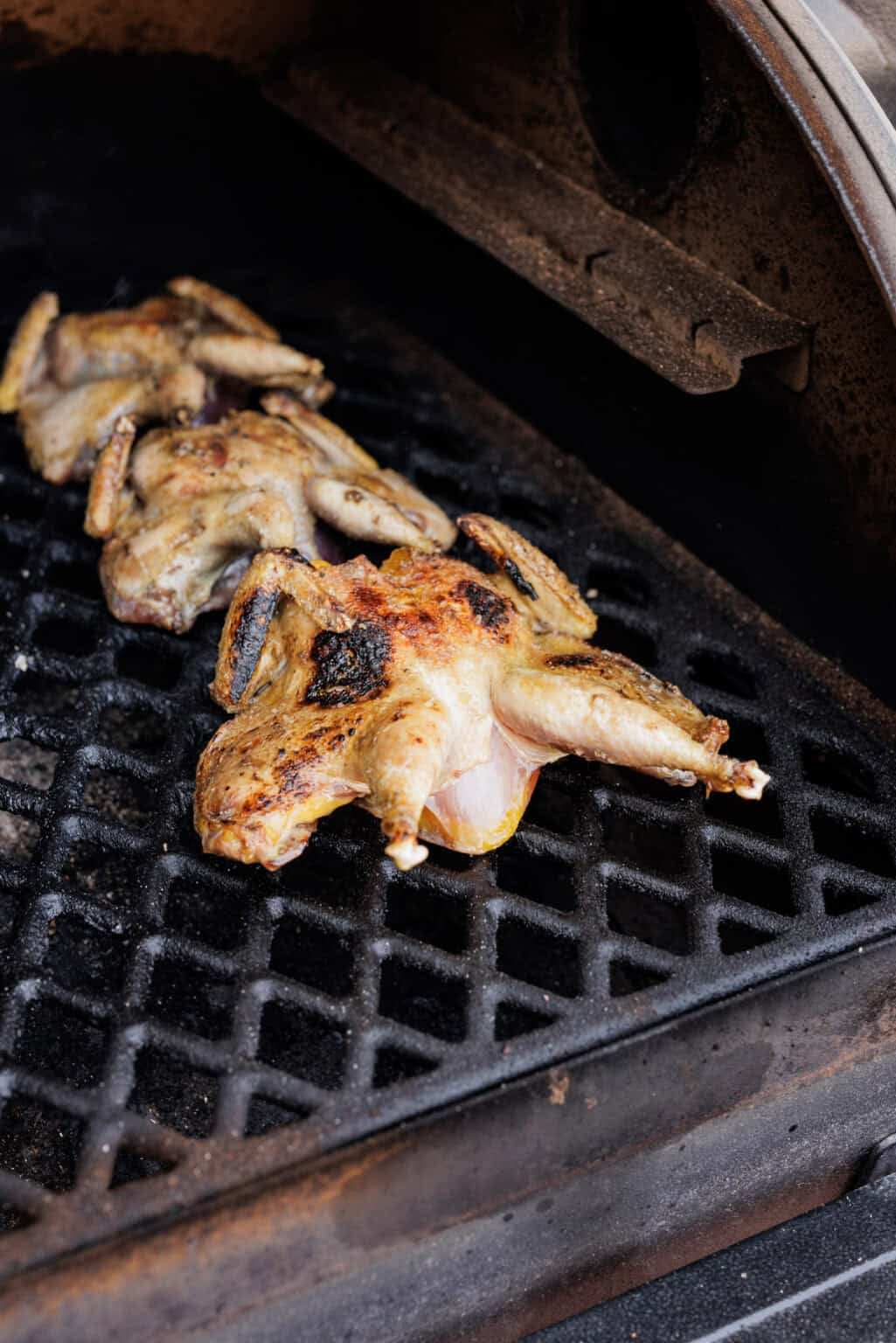 Grilled Whole Chukar with Plum Sauce | Peak to Plate
