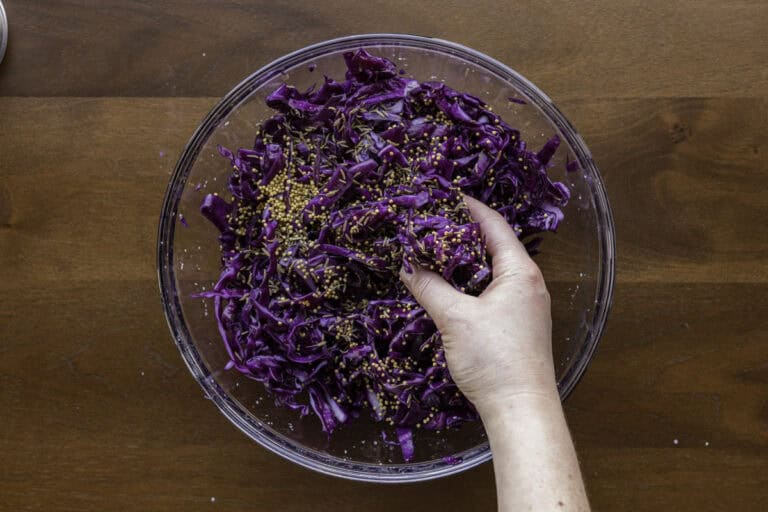 Red Cabbage Sauerkraut (Fermented Red Cabbage) | Peak to Plate