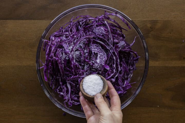 Red Cabbage Sauerkraut (Fermented Red Cabbage) | Peak to Plate