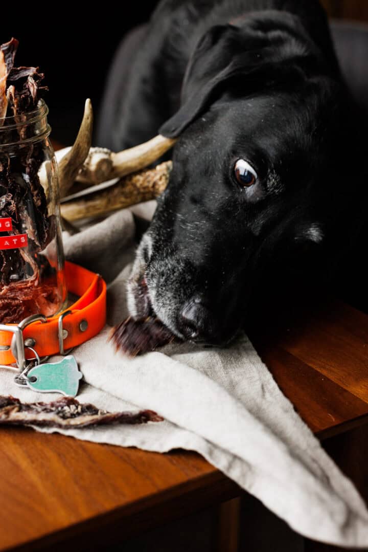 Homemade Venison Dog Treats | Peak to Plate