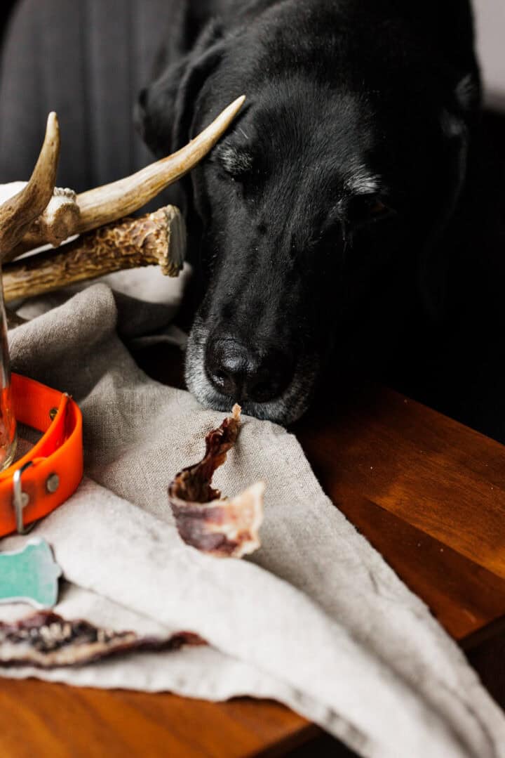 Homemade Venison Dog Treats | Peak to Plate