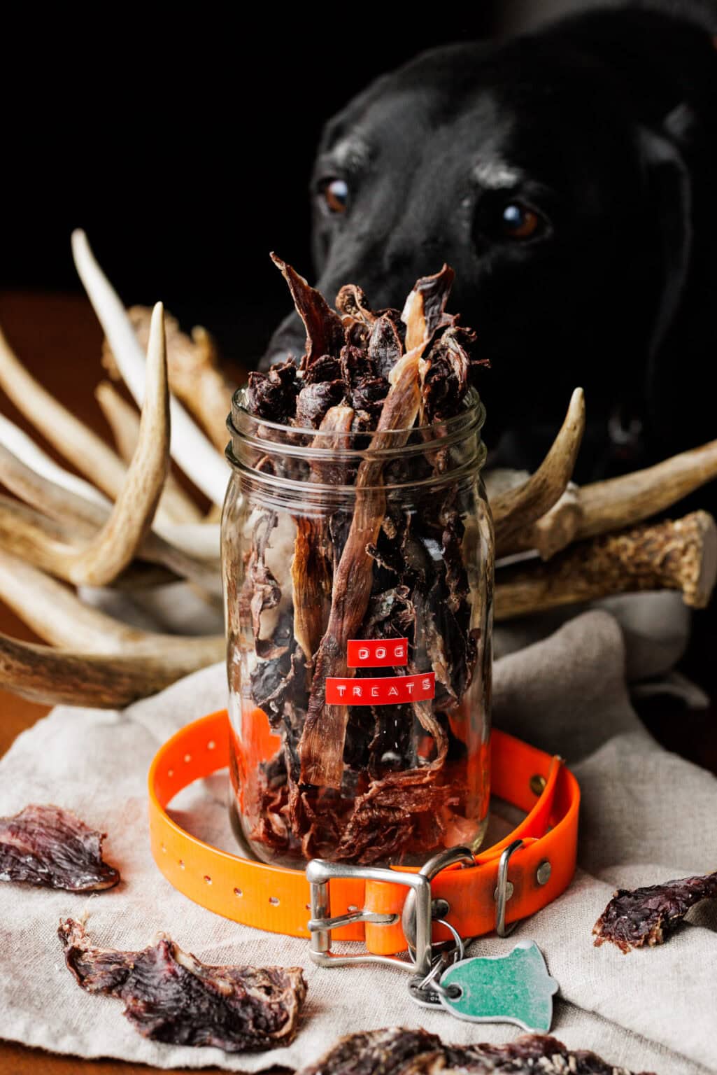 Homemade Venison Dog Treats | Peak to Plate